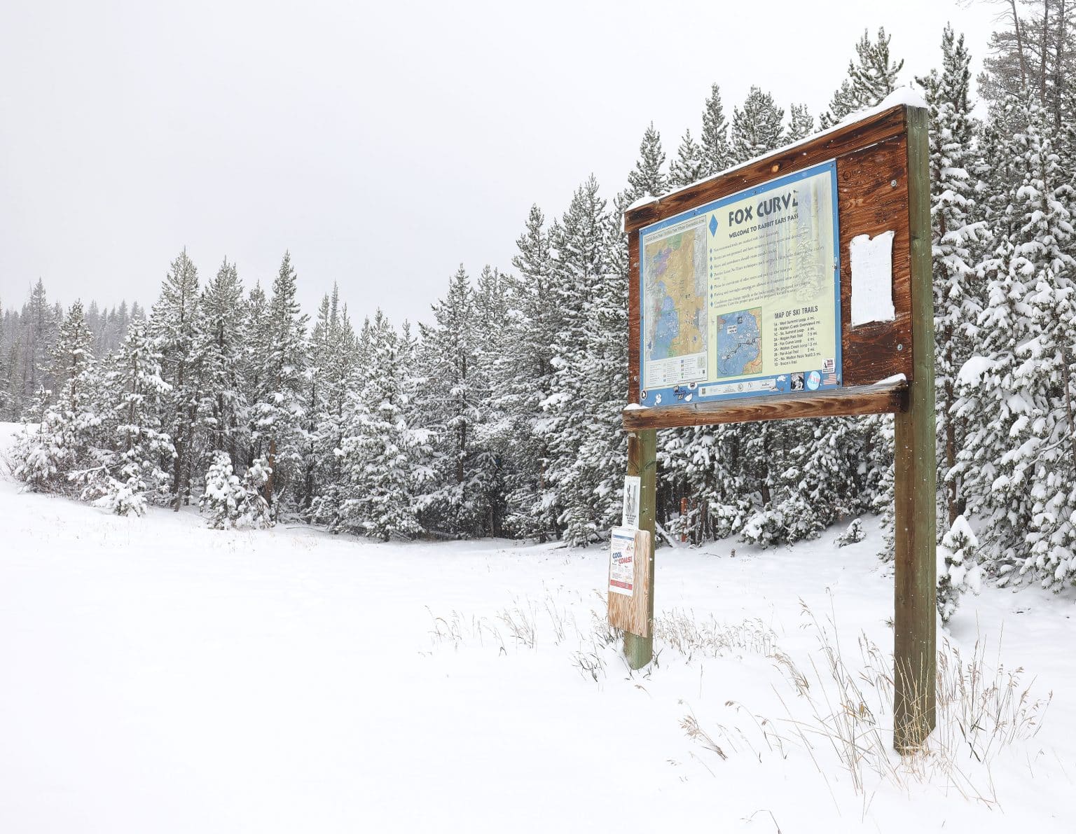 Mad Rabbit: 52 miles of new trails, rehabilitation of 36 miles, return ...